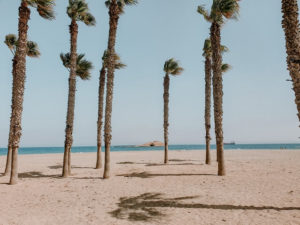 9 imprescindibles Qué ver en Carboneras, Almería